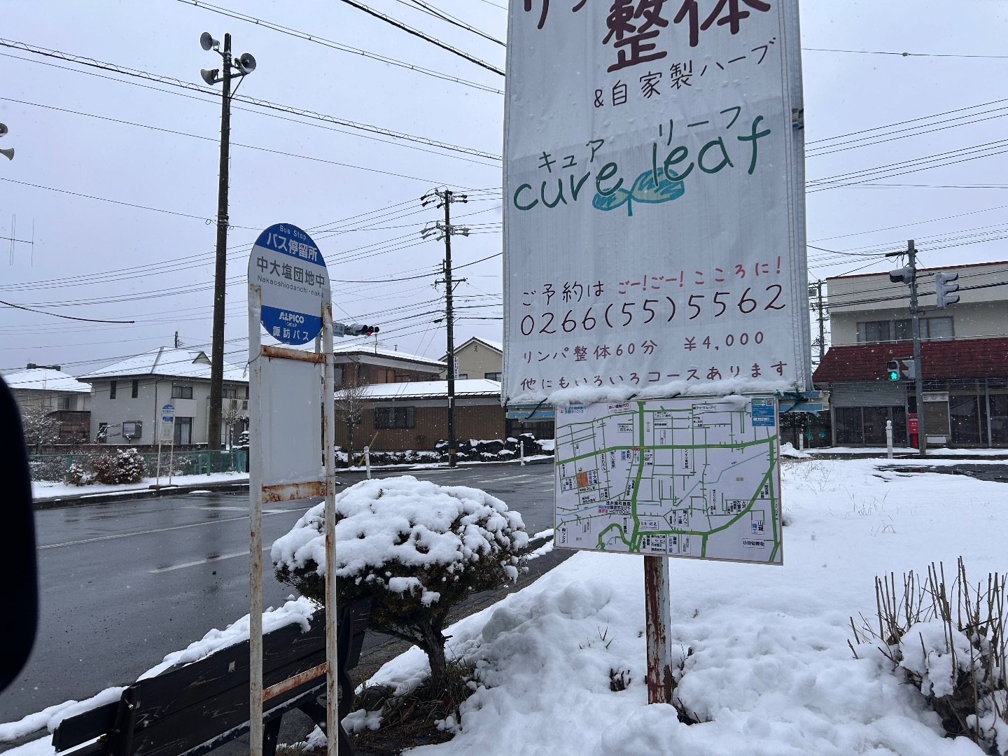 今月のワンコインお試し整体(^-^)/: cure leaf